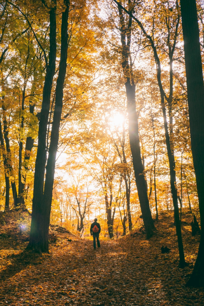 Drug Rehab in Vermont - Valley Vista